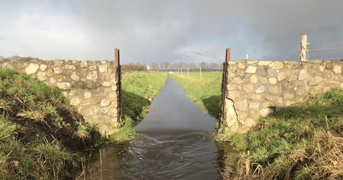 Project: Robuust watersysteem bovenloop Ruiner AA | Waterschap Drents ...